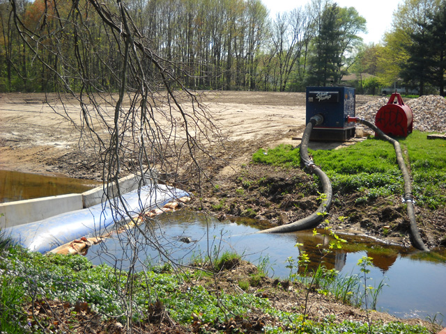 Stream and Wetlands Restoration in Harvey Mill Park | CCOBH